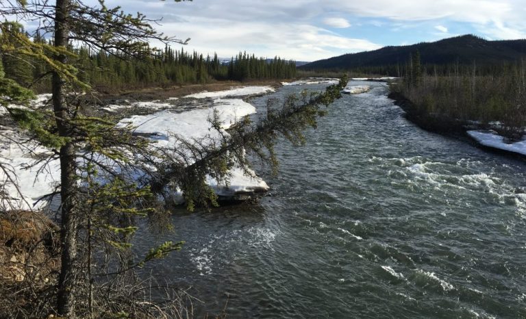 How To Hike The Stampede Trail To The Magic Bus 142 (For Dummies ...